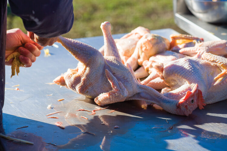 On-Farm Processing – Mother Earth News